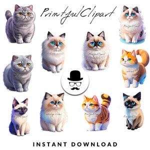 Cute Cat Sticker Pack, Printable Digital Clipart, Commercial Use, PNG ...