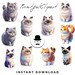 Cute Cat Sticker Pack, Printable Digital Clipart, Commercial Use, PNG ...