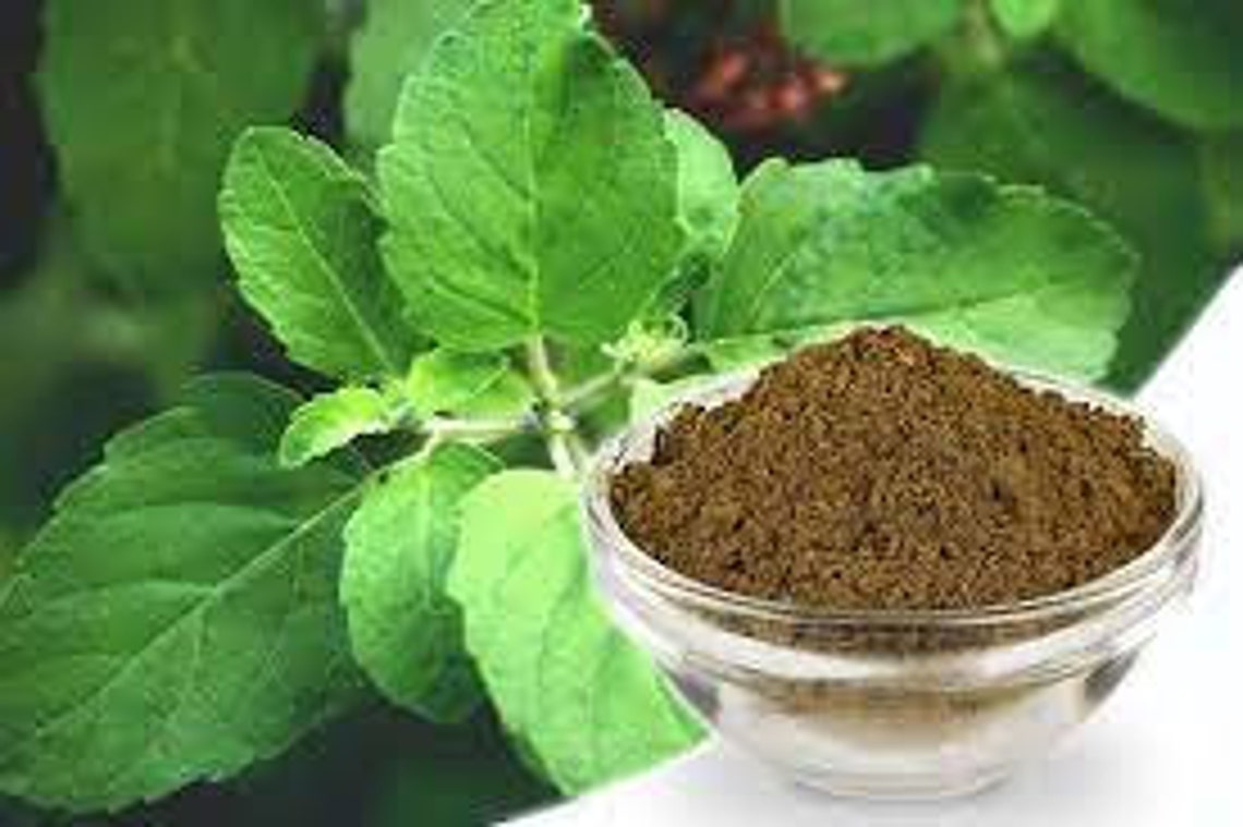 Tulsi Leaves Powder for Health, Skin & Hair Non GMO No Added ...