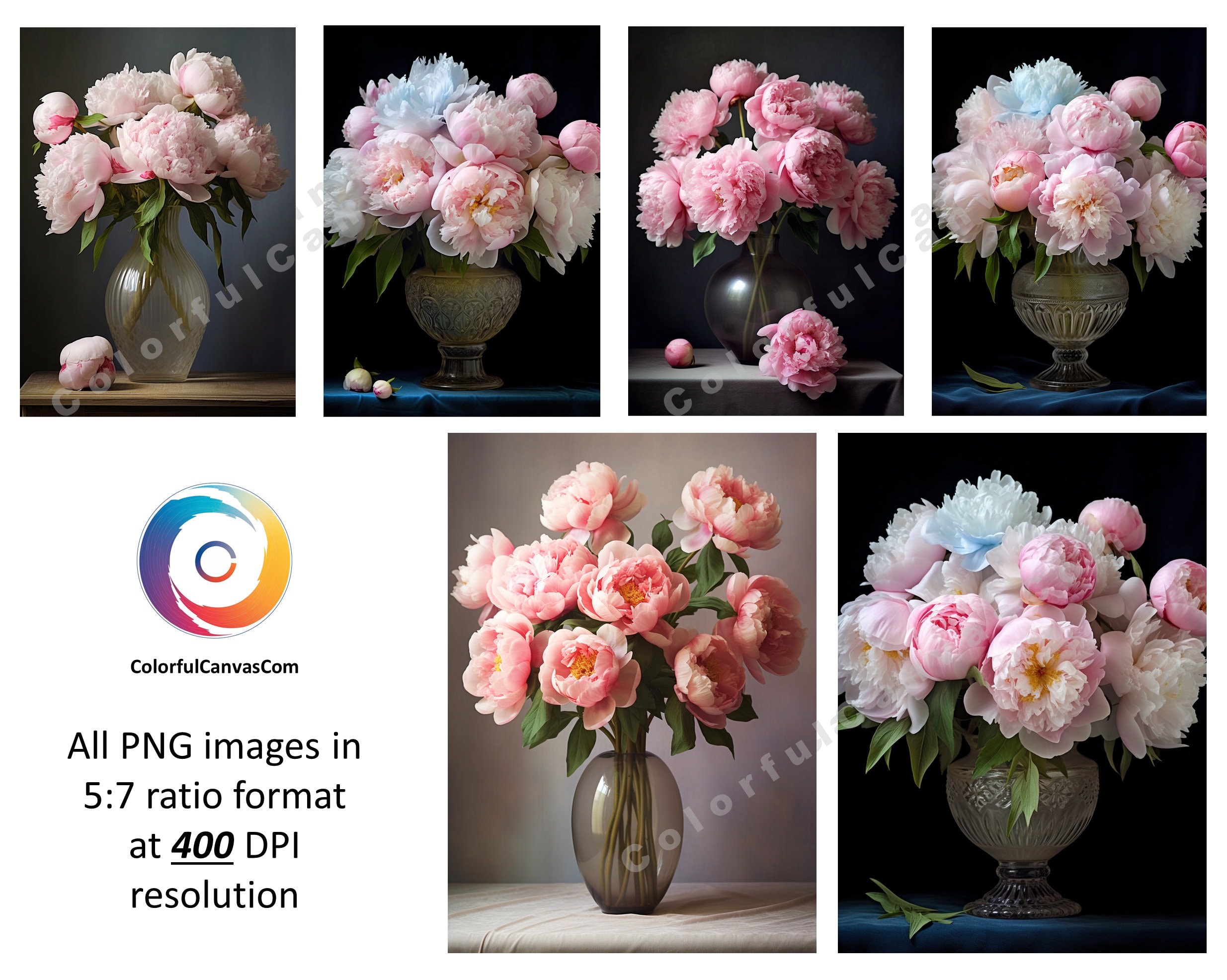 Peonies the Compassionate Collection A Set of 12 Digital Art PNG Images ...