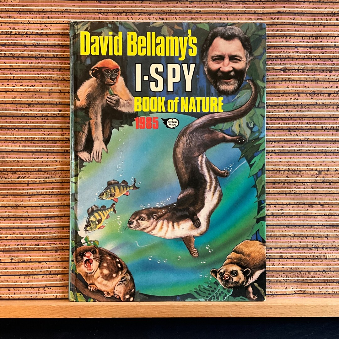 David Bellamy's I-spy Book of Nature 1985 - Vintage First Edition ...