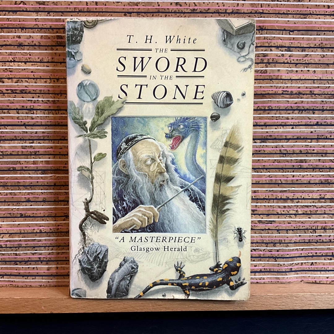 The Sword in the Stone by T. H. White - Vintage UK Paperback Book ...