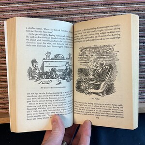 The Diary of a Nobody by George and Weedon Grossmith, Illustrations by ...