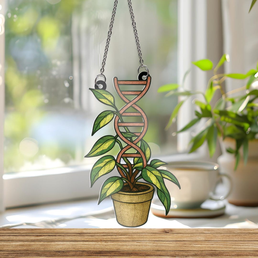DNA Trellis and Climbing Plant Pot Window Hanging, Double Helix Home ...