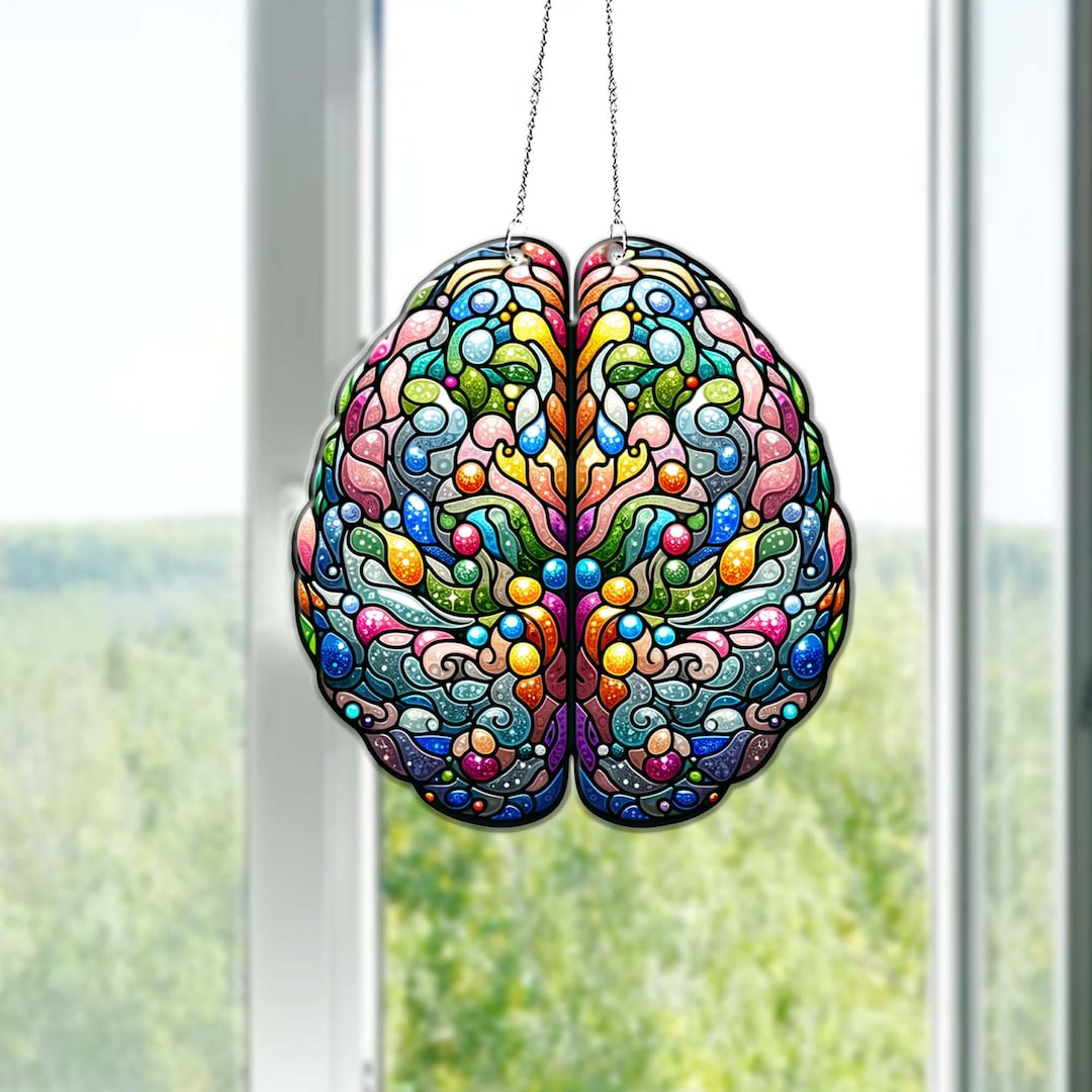 Aesthetic Anatomical Brain Window Hanging, Brain Acrylic Window Hanging ...