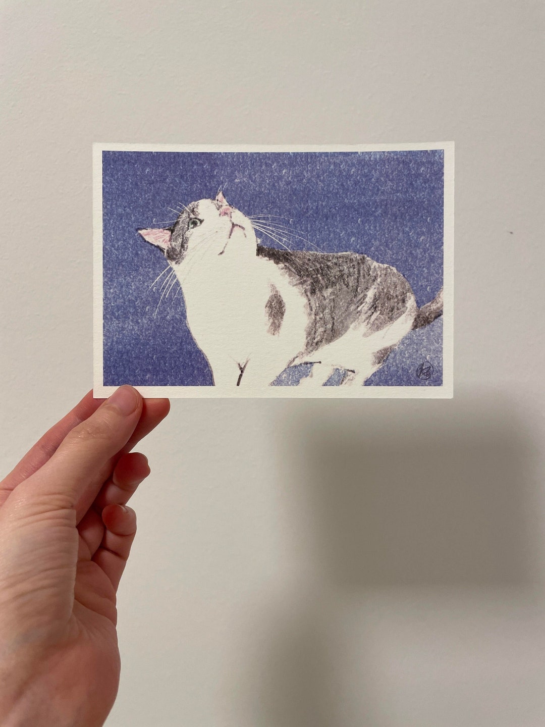 Printable Cat Digital Drawing - Etsy