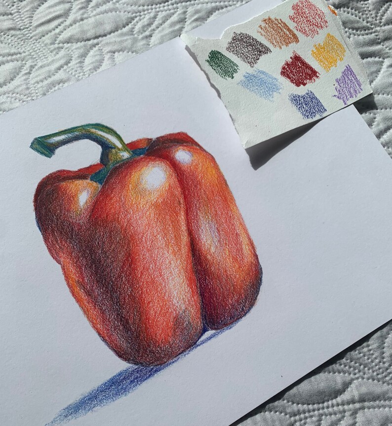Bell Pepper Drawing Original Hand Made - Etsy