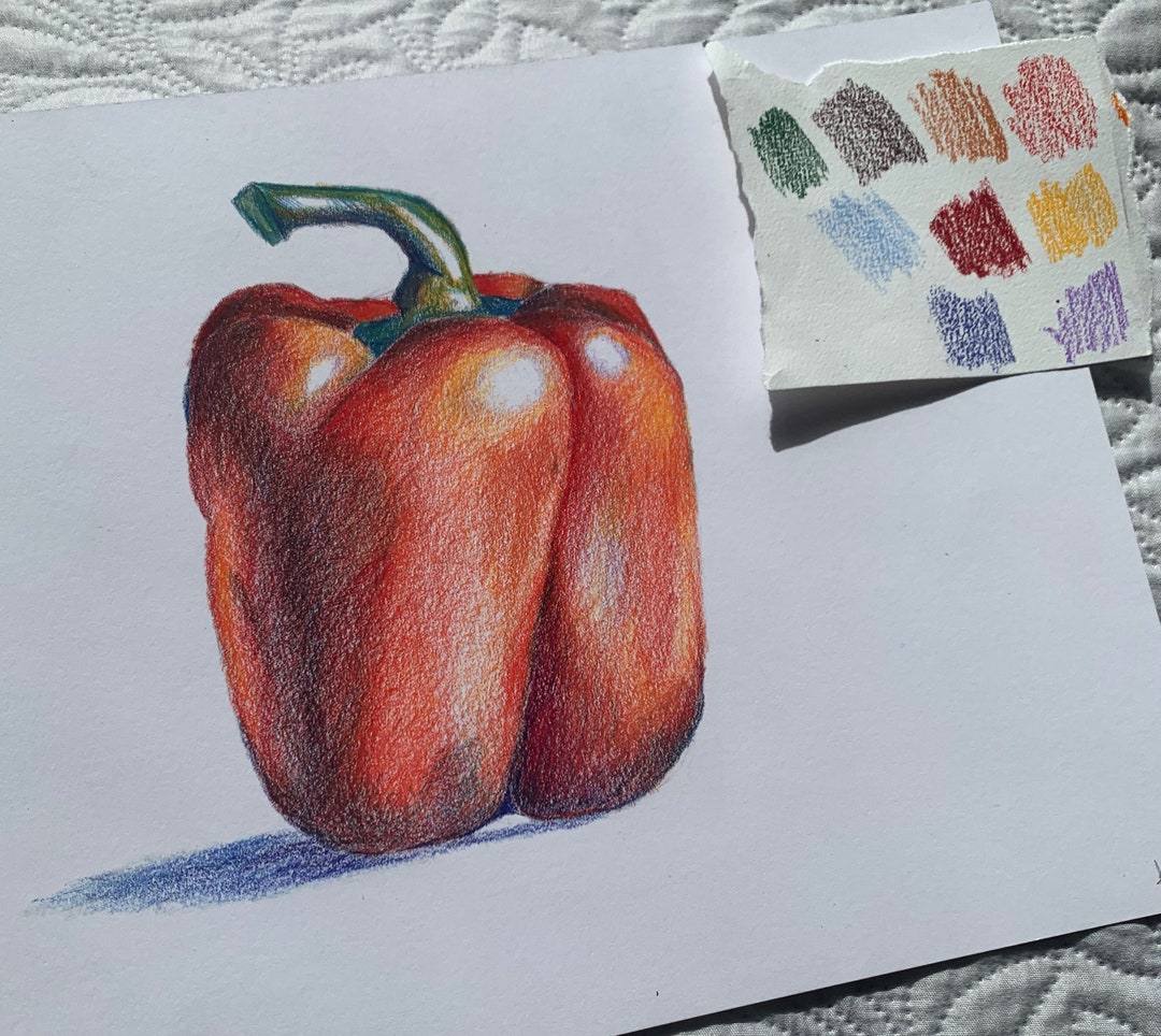 Bell Pepper Drawing Original Hand Made - Etsy