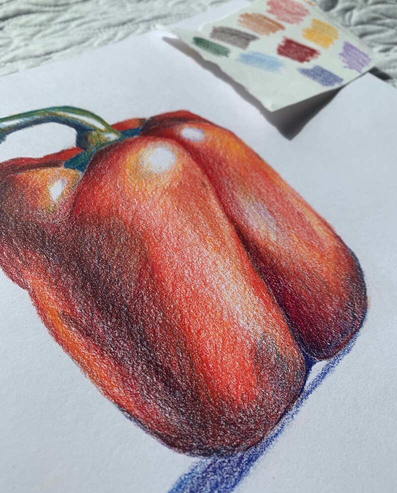 Bell Pepper Drawing Original Hand Made - Etsy