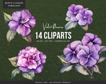 February Birth Month Flower, Birth Month Flower Png, Personal ...