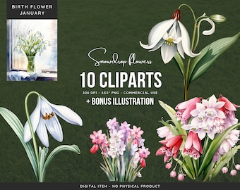 Carnation Flowers PNG Cliparts Bundle: January Birth Flower - Etsy