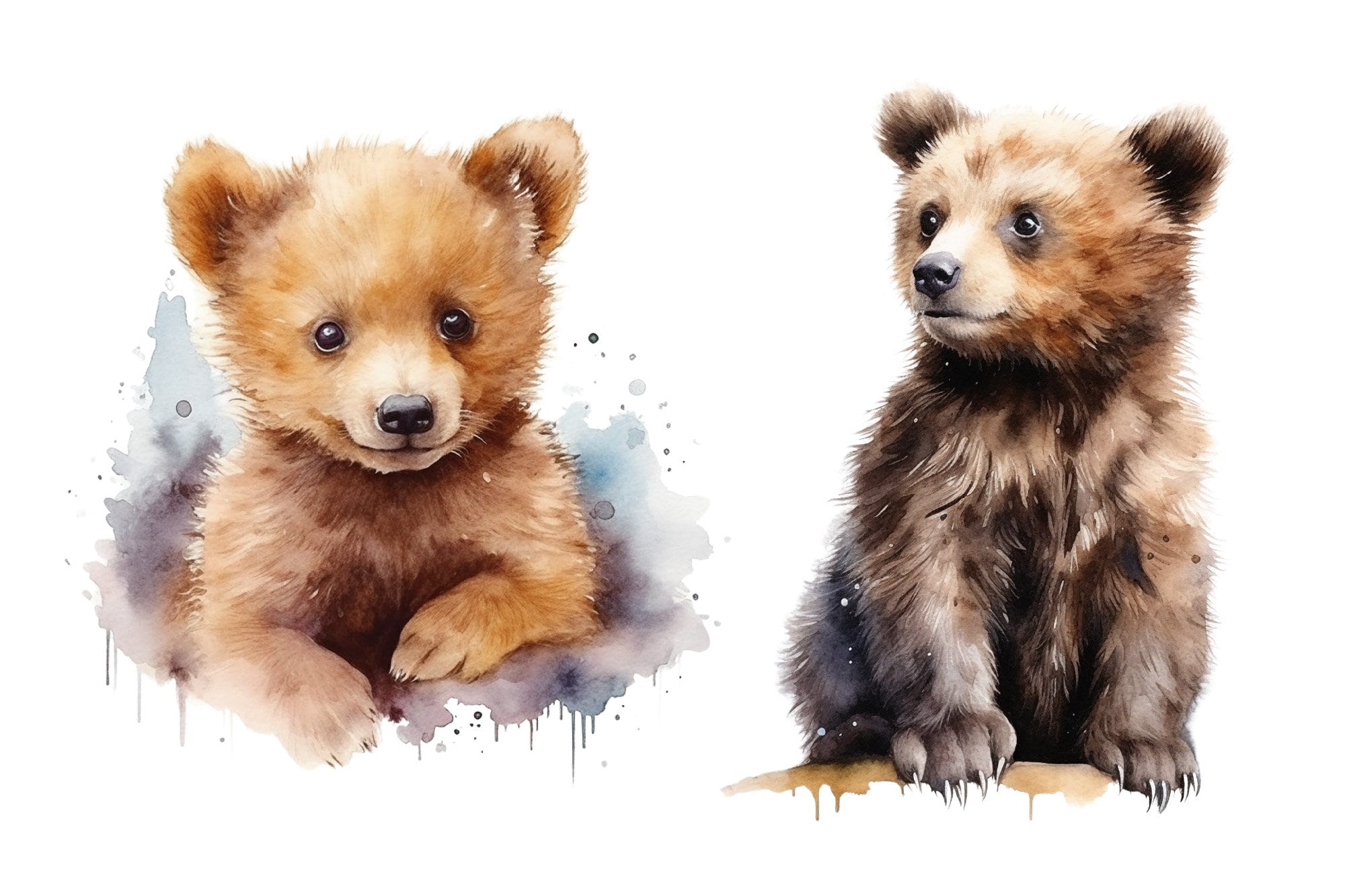 Bear Cub PNG & JPG, Watercolor Bear Cubs, Clip Art PNG Digital Art ...