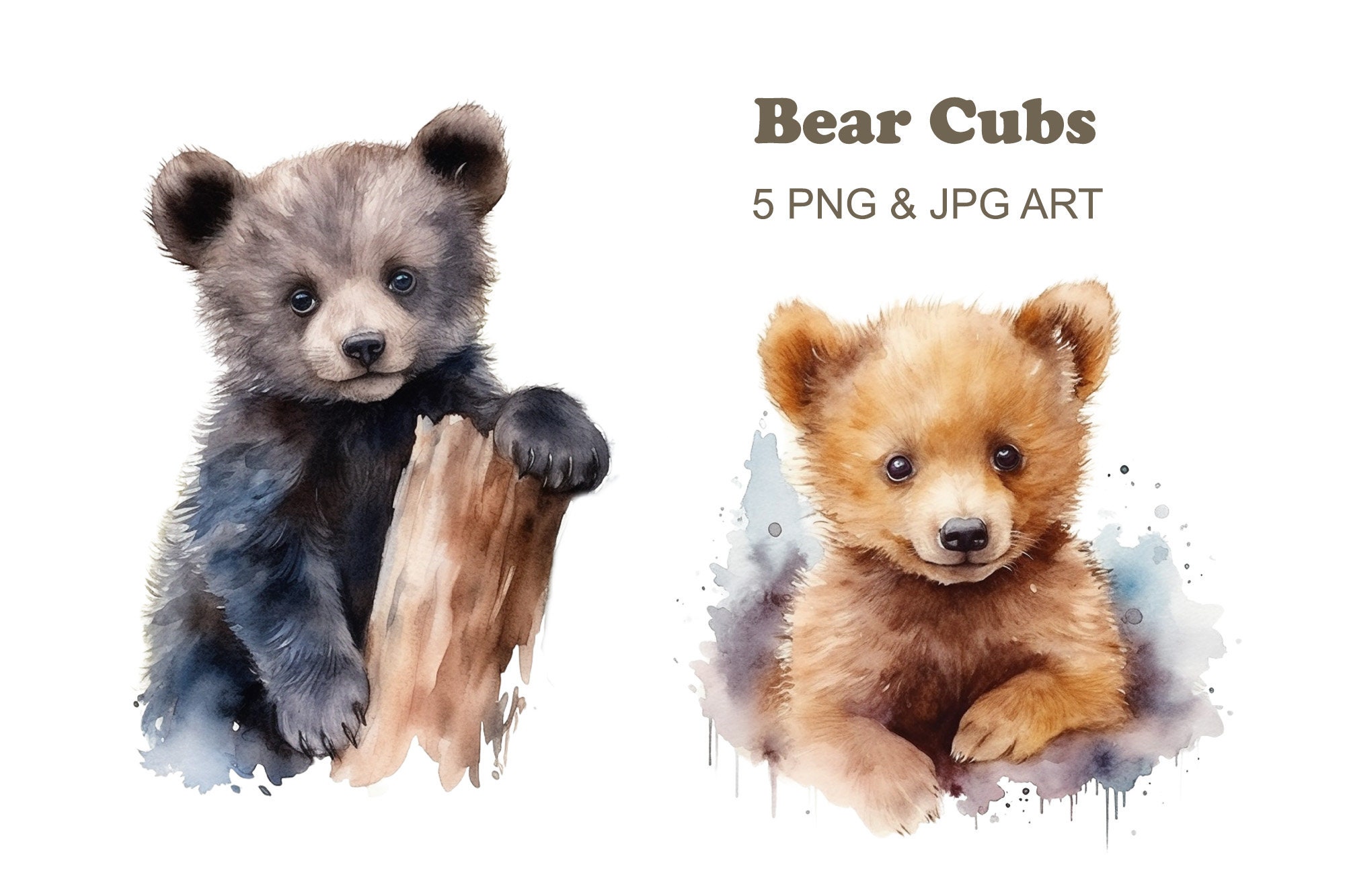 Bear Cub PNG & JPG, Watercolor Bear Cubs, Clip Art PNG Digital Art ...