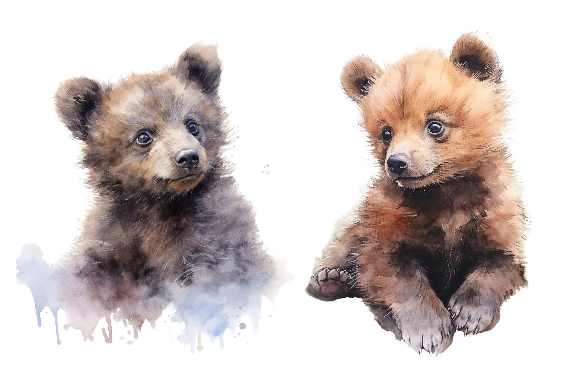 Bear Cub PNG & JPG, Watercolor Bear Cubs, Clip Art PNG Digital Art ...