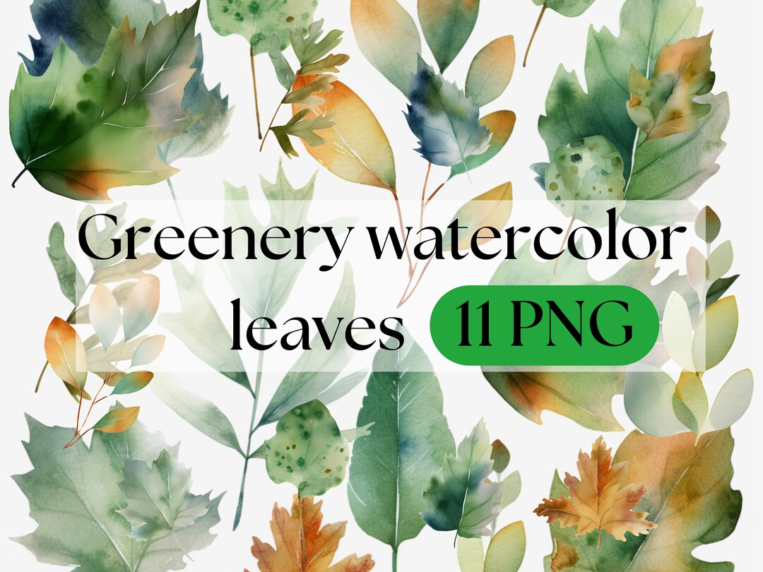 Watercolor Green Leaves Clipart Greenery Foliage PNG - Etsy