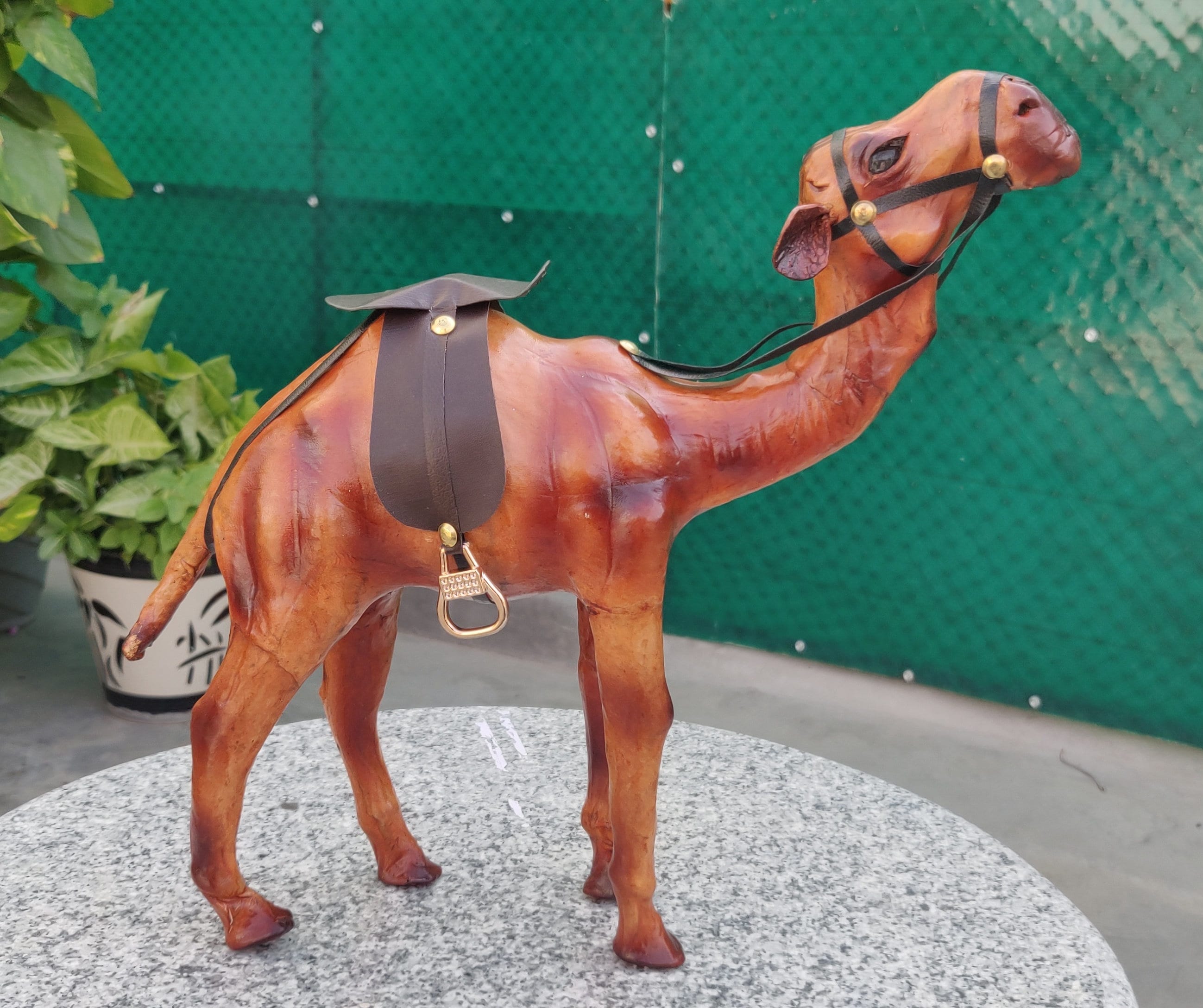 Camel Theme Party Decorations
