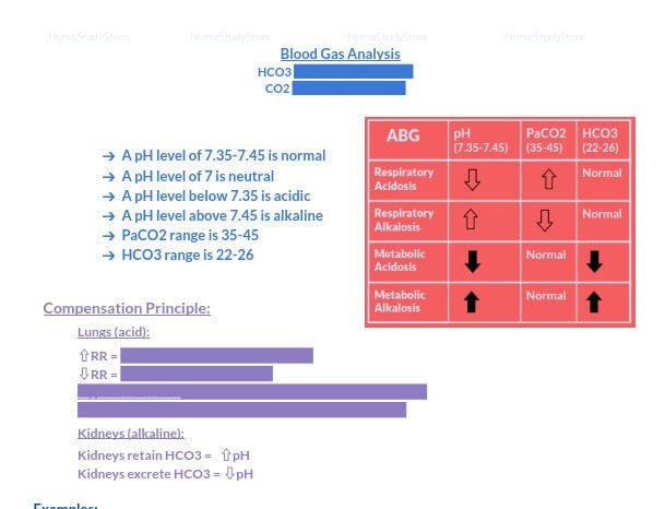 Easy Blood Gas Analysis - Etsy