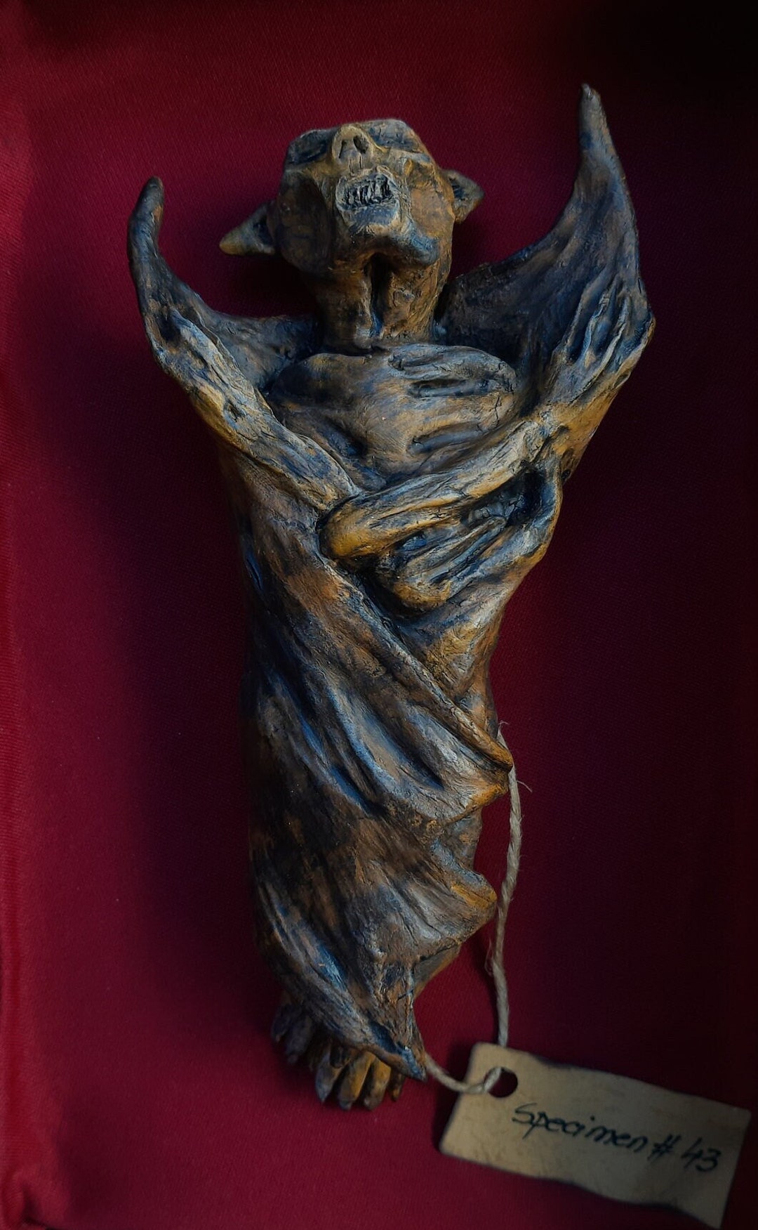 Curiosities and Oddities 43: Preserved Vampire - Etsy