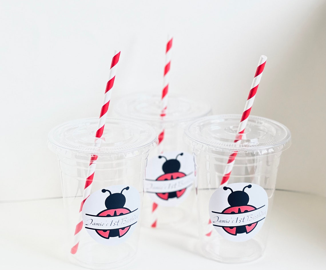 Lady Bug Party Cups - Etsy