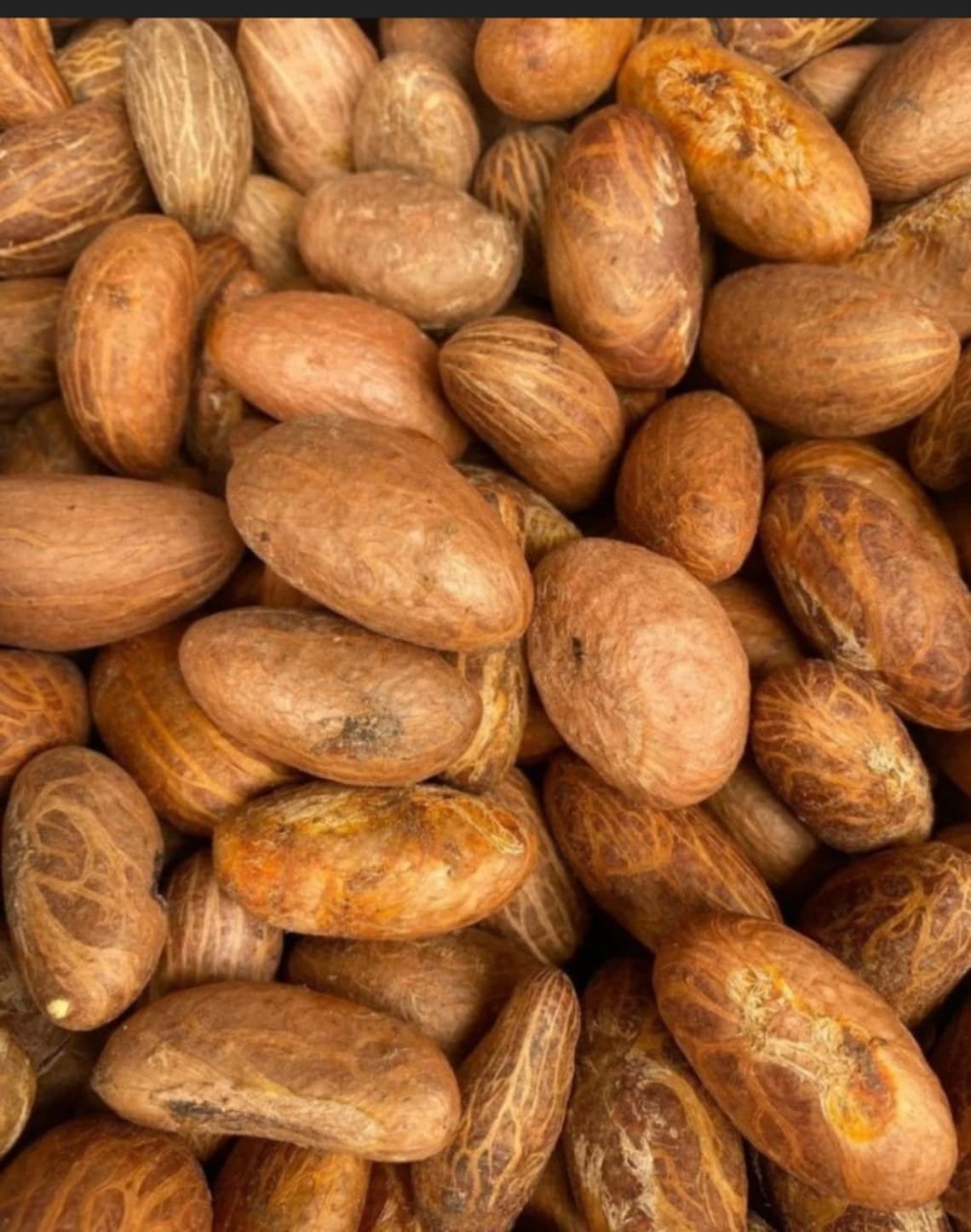 Bitter Kola, Orogbo, Akilu, Mijigworo (50 Seeds) - Etsy