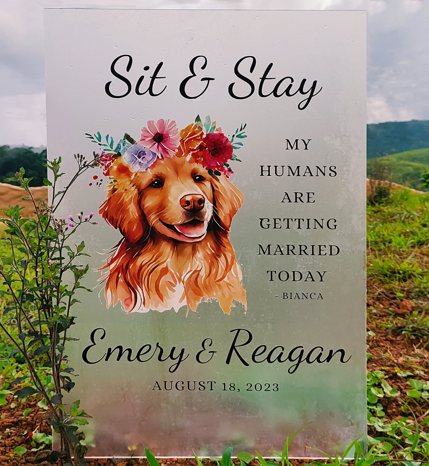 Frosted Sit and Stay Seating Chart Wedding Décor Pet Wedding Welcome ...