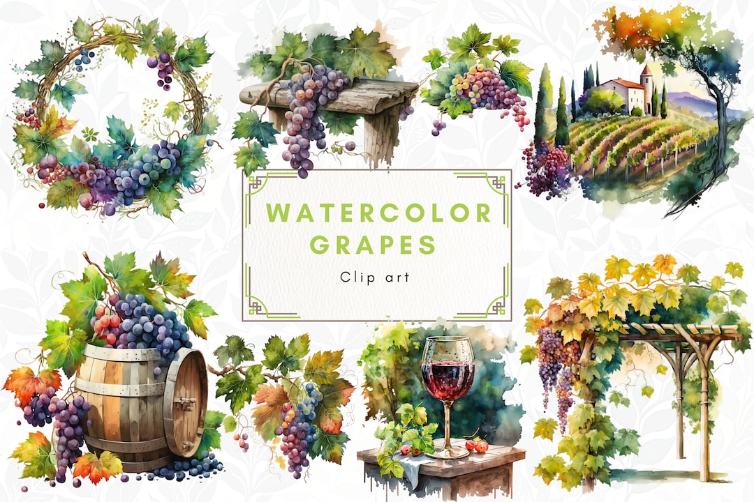 Watercolor Grapevine Clipart, Grapes, High Quality PNG, Commercial Use ...