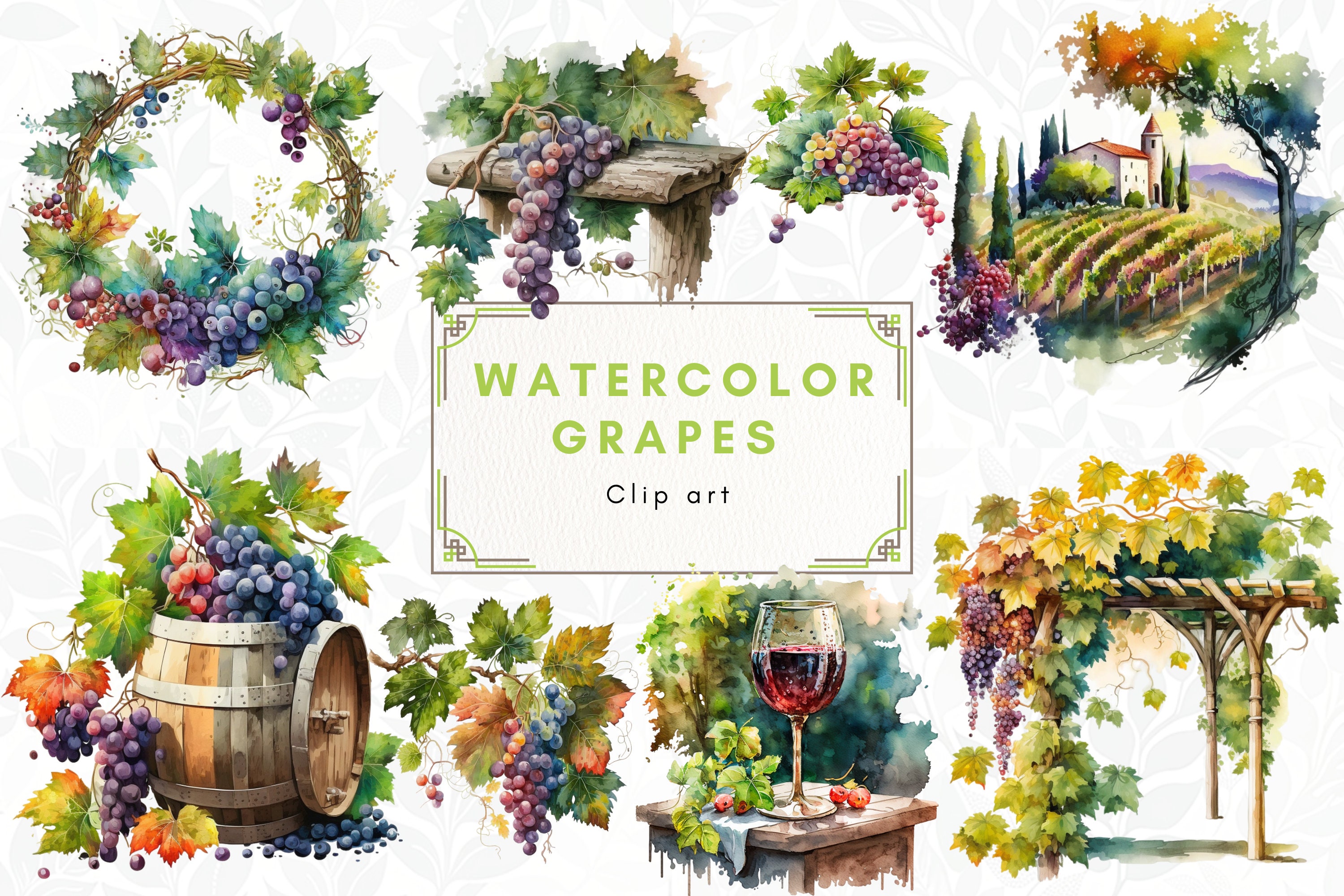 Watercolor Grapevine Clipart, Grapes, High Quality PNG, Commercial Use ...