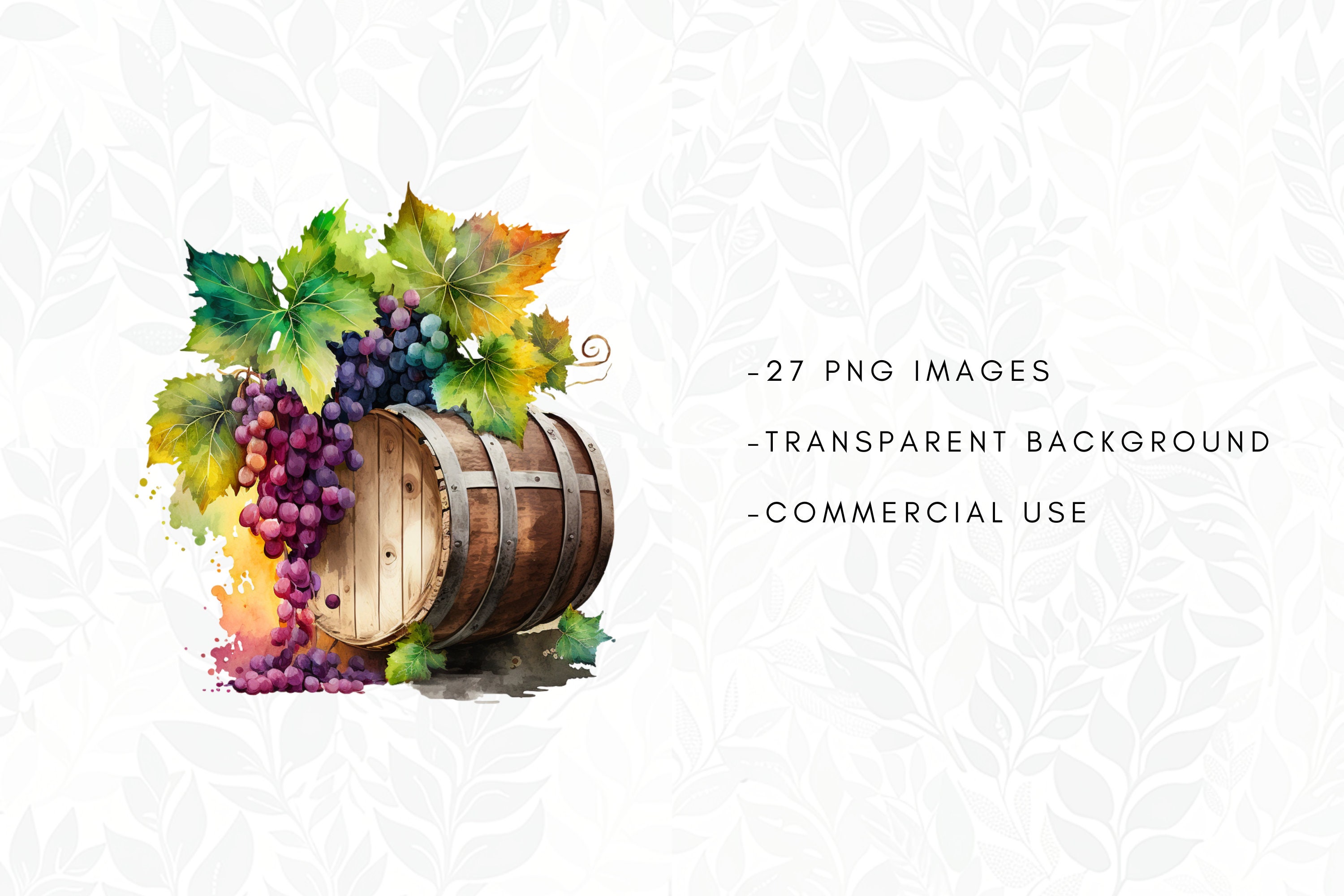 Watercolor Grapevine Clipart, Grapes, High Quality PNG, Commercial Use ...