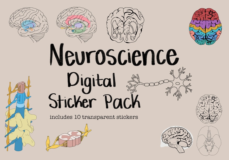 Neuroscience Digital Sticker - Etsy