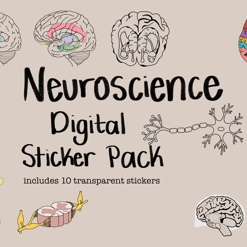 Neuroscience - Etsy