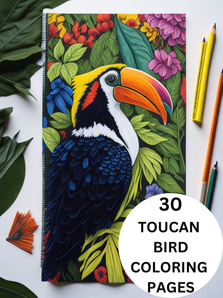 Coloring Pages Rainbow Toucan