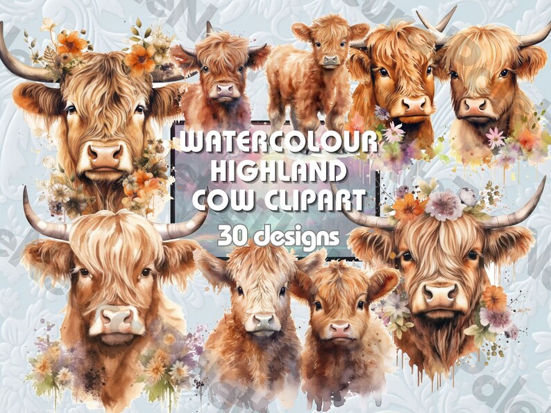 30 Watercolor Highland Cow Clipart Commercial Use - Etsy