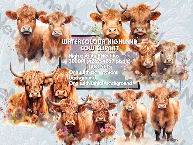 30 Watercolor Highland Cow Clipart Commercial Use - Etsy