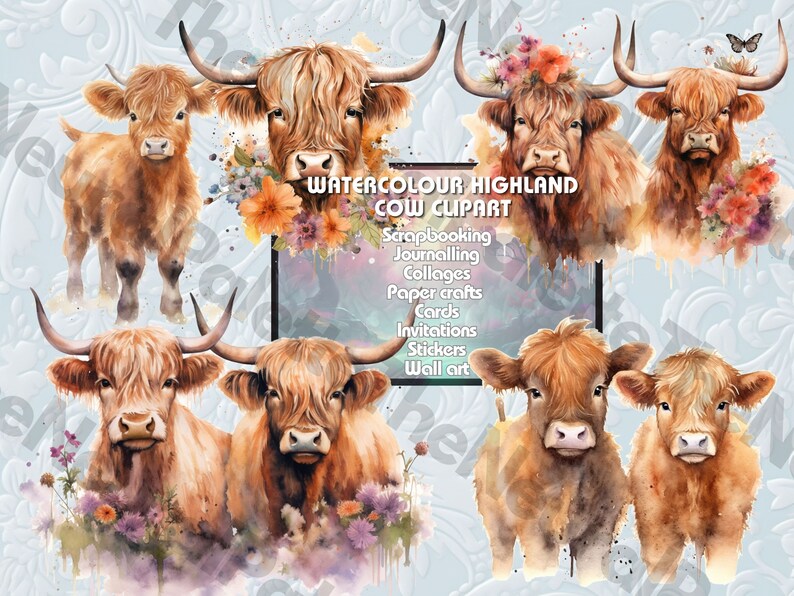 30 Watercolor Highland Cow Clipart Commercial Use - Etsy