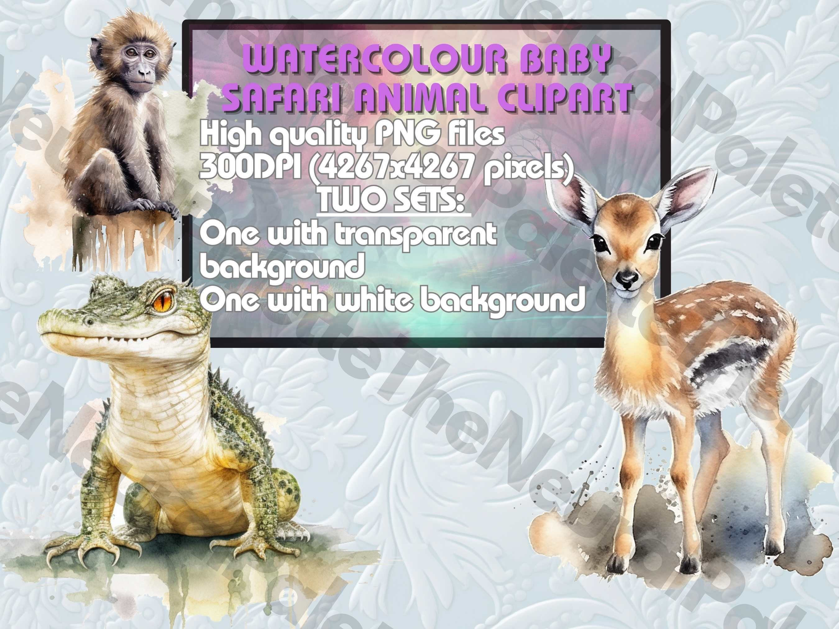 18 Baby Safari Animals Clipart Commercial Use Cute Animal - Etsy