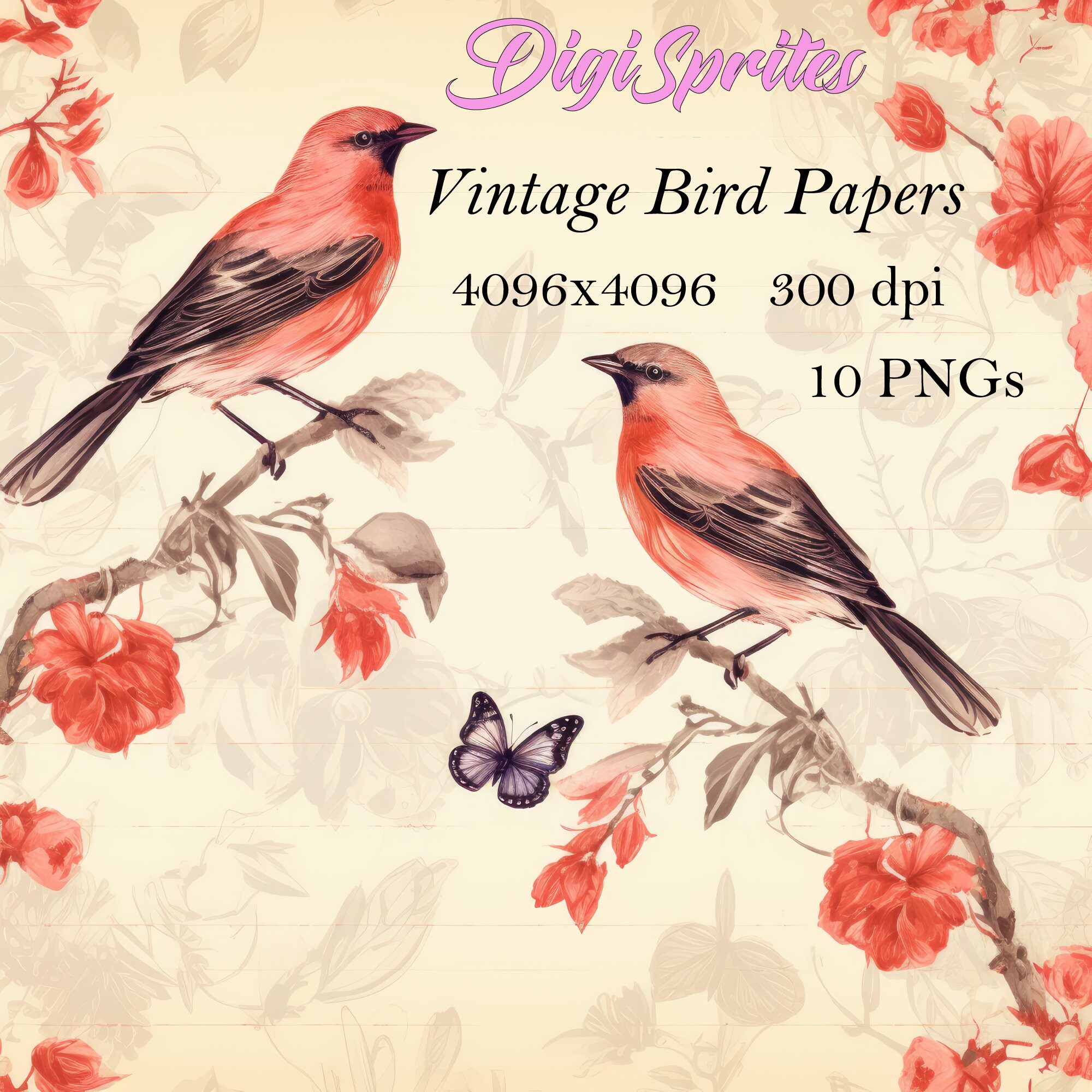 10 Shabby Chic Vintage Bird Papers, Butterfly, Floral, Paper Pack ...