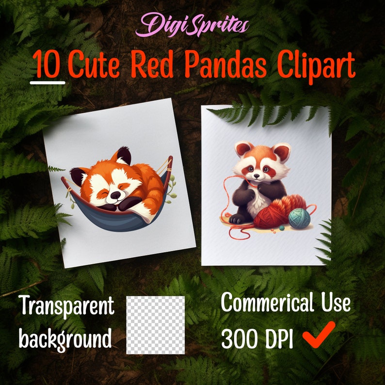 10 Red Panda Clipart, Red Panda PNG, Panda Art, Panda, Digital, Animal ...