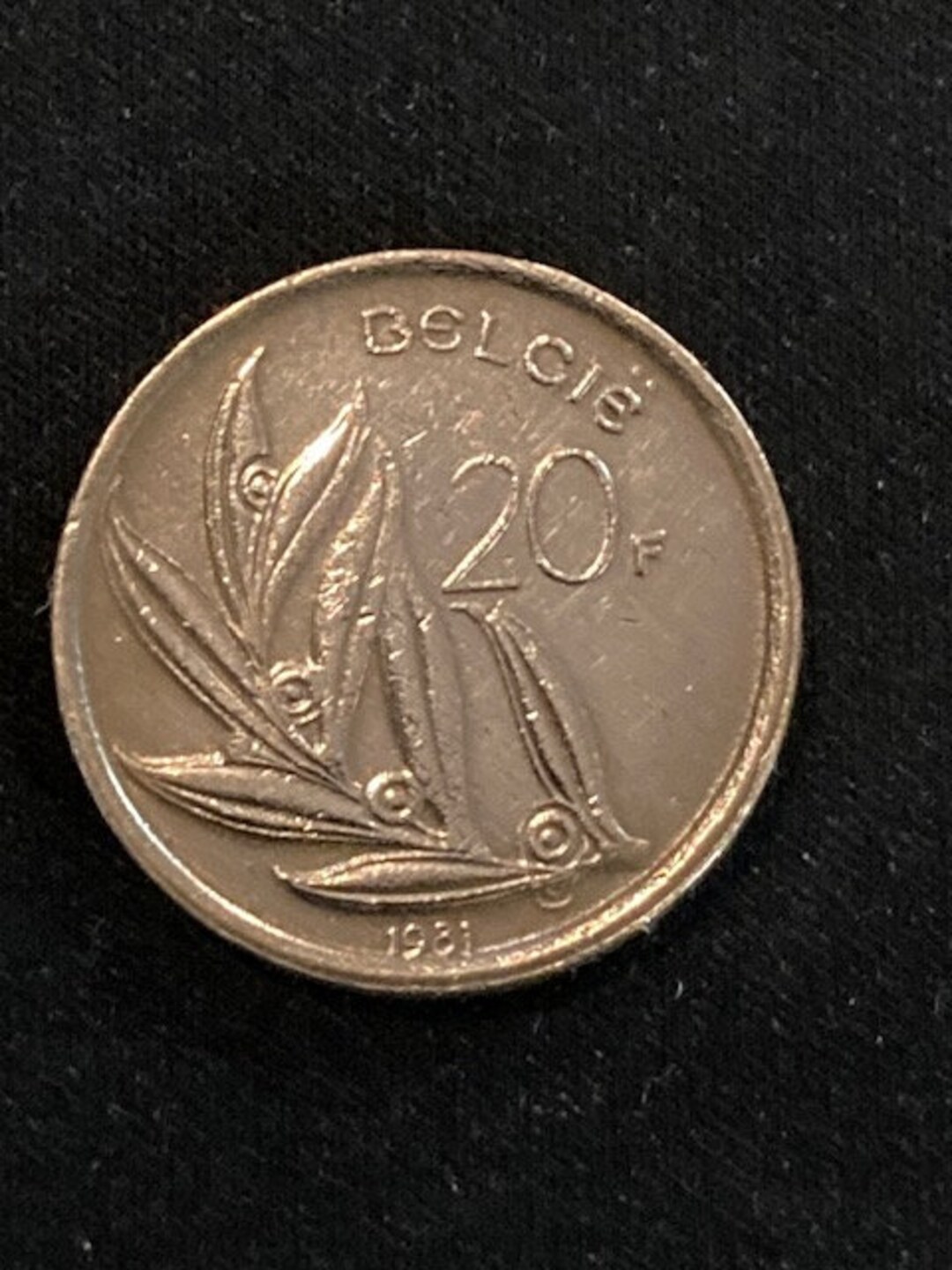 1981 Belgie 20 Frank Coin - Belgian Numismatic Collectible - Etsy