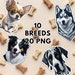 Cartoon Dogs Clipart | 10 Breeds | 20 Pngs | Instant Download - Etsy