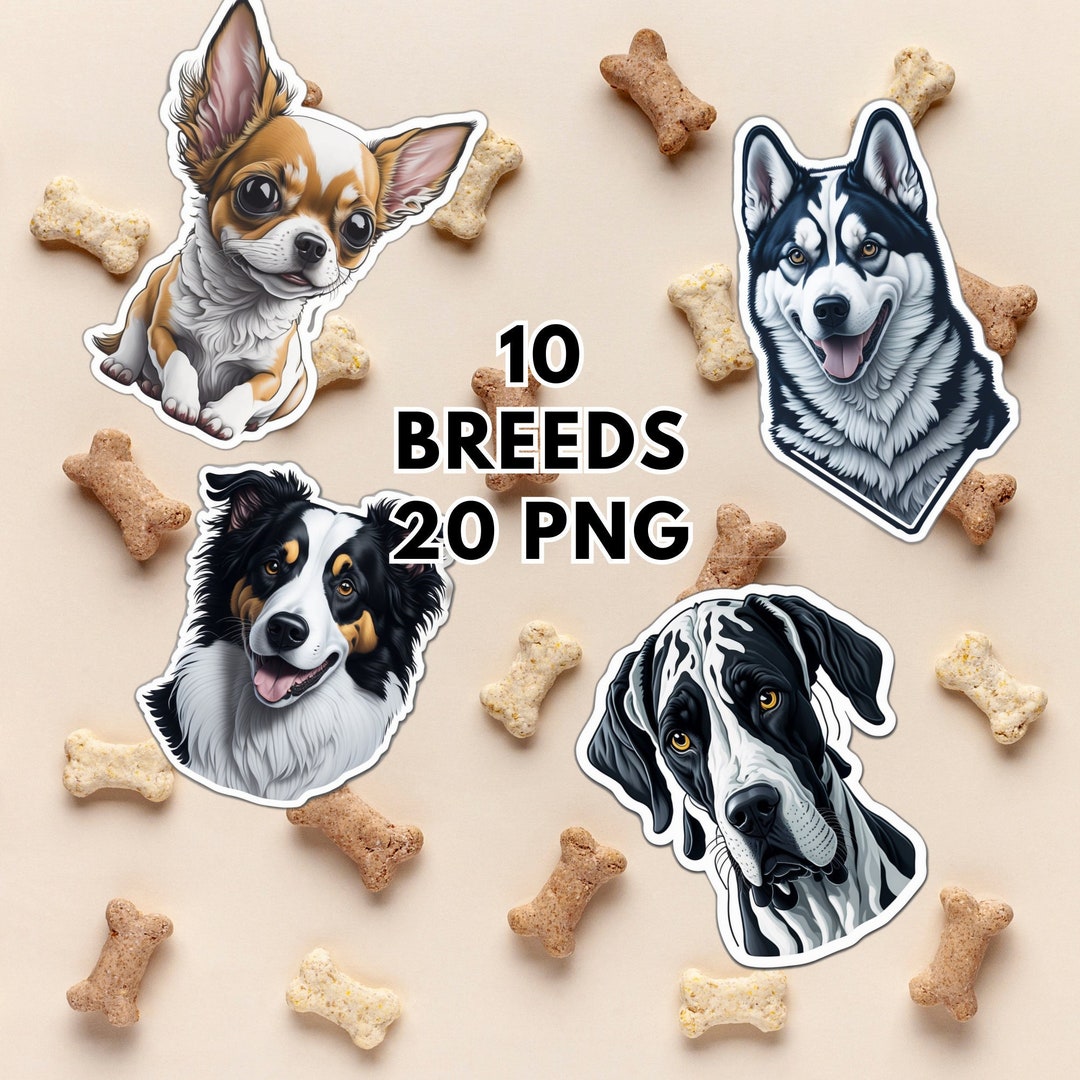 Cartoon Dogs Clipart | 10 Breeds | 20 Pngs | Instant Download - Etsy