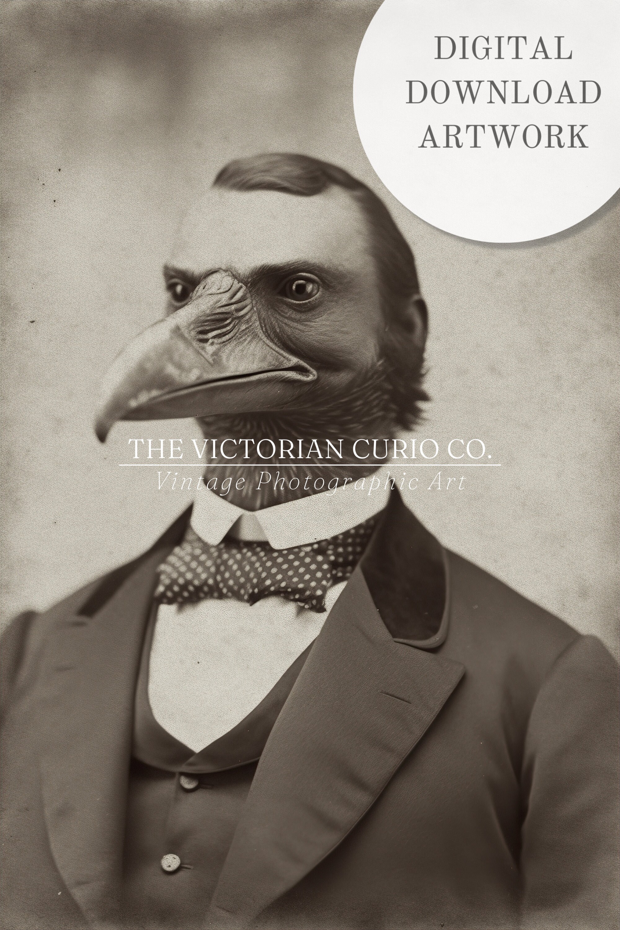 Victorian Bird Man Poster, PRINTABLE Gothic Portrait, Dark Academia ...