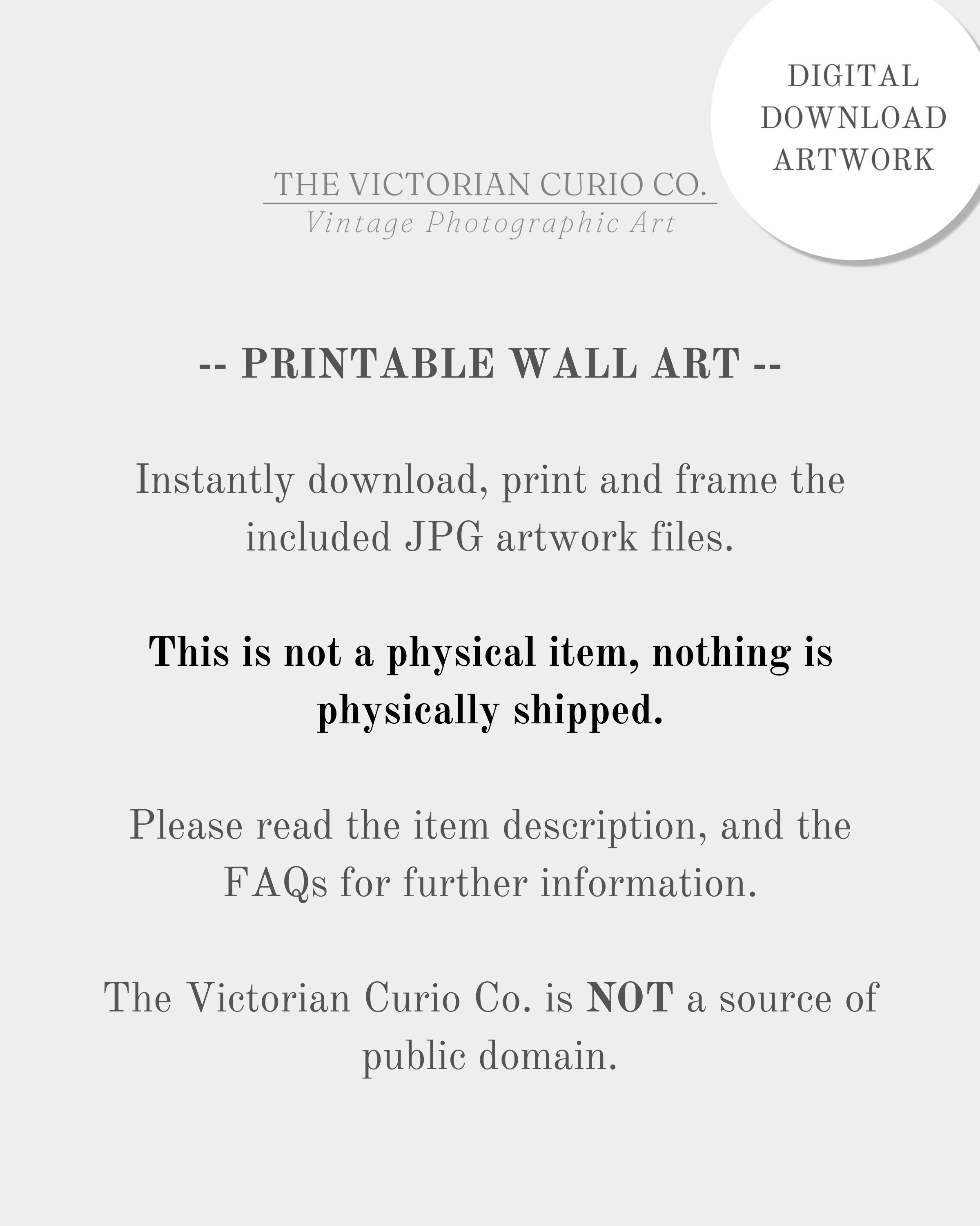 Victorian Kung Fu Master, PRINTABLE Vintage Karate Art, Antique Martial ...