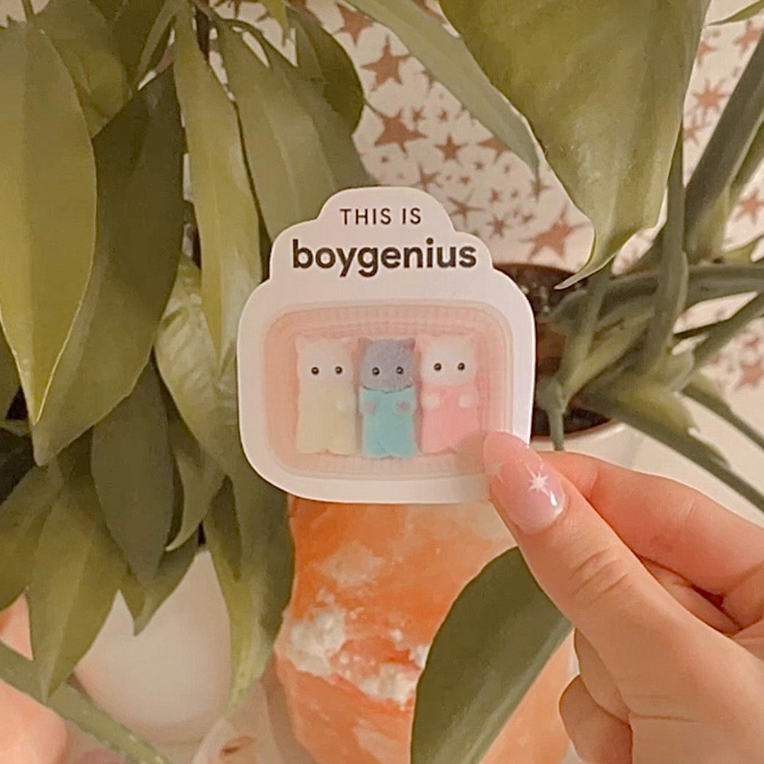This is Boygenius Sticker Cute Sticker Aesthetic Sticker Trendy Sticker ...