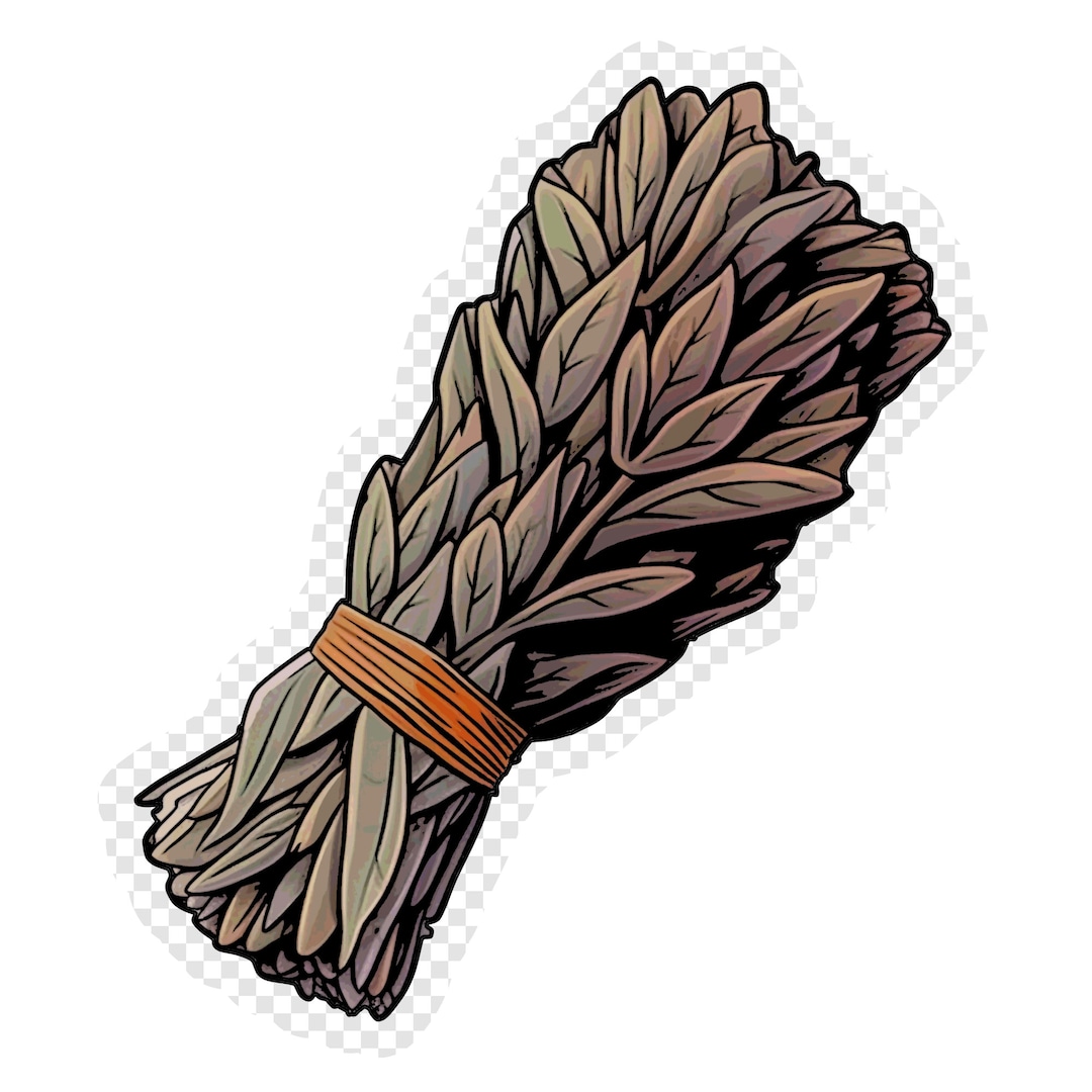 Sage Bundle Transparent PNG Clipart for Sticker Design Asset - Etsy