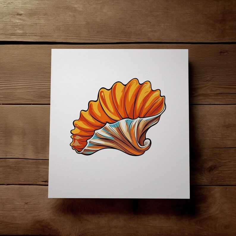 Conch Shell Transparent PNG Clipart for Sticker Design Asset - Etsy