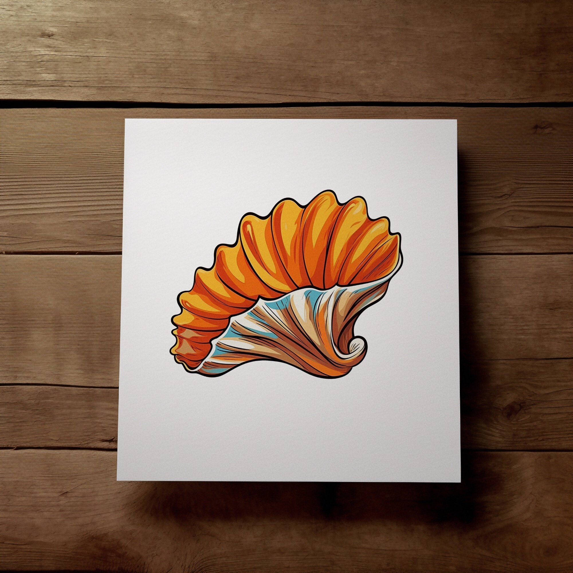 Conch Shell Transparent PNG Clipart for Sticker Design Asset - Etsy
