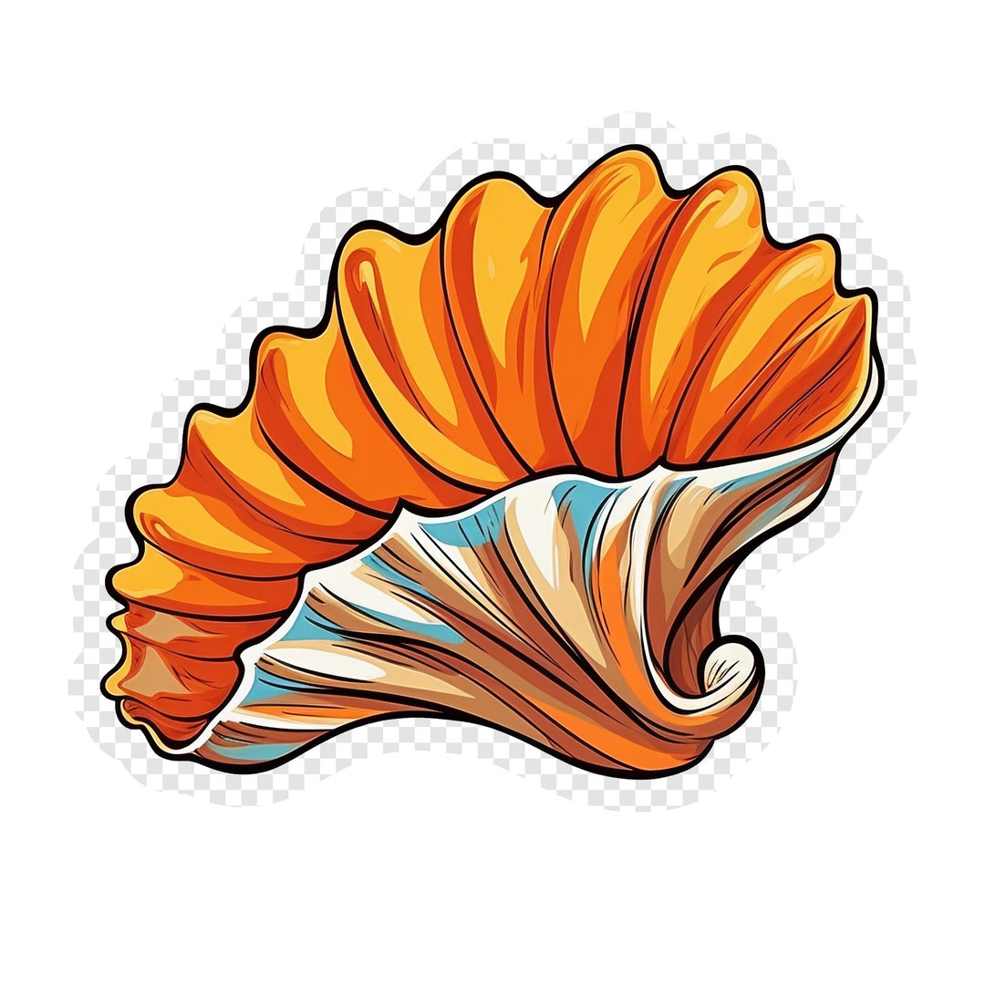 Conch Shell Transparent PNG Clipart for Sticker Design Asset - Etsy