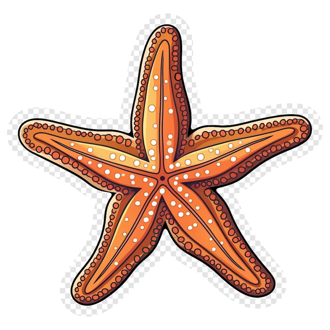 Starfish Transparent PNG Clipart for Sticker Design Asset - Etsy