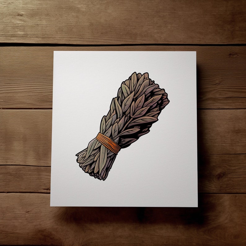 Sage Bundle Transparent PNG Clipart for Sticker Design Asset - Etsy