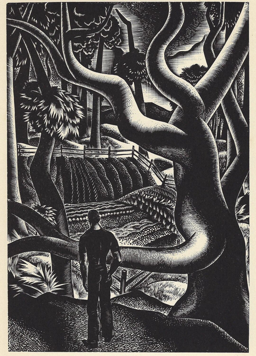 Lynd Ward (american 1905-1985) Wood Engraved Illustration From Wild ...